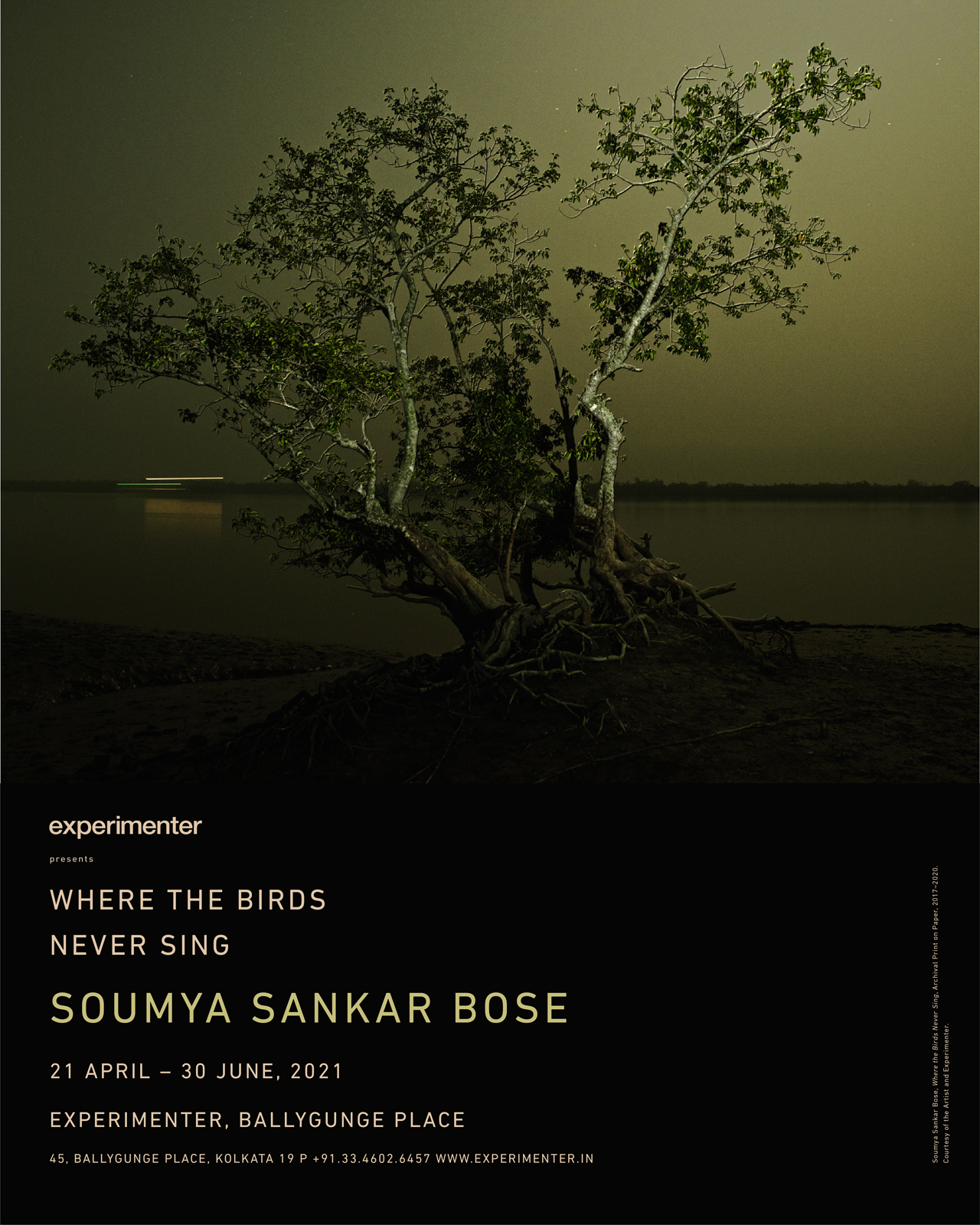 Soumya Sankar Bose / Where the Birds never sing